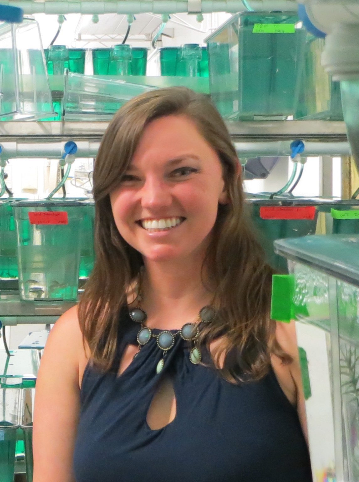 Members – Megason Lab